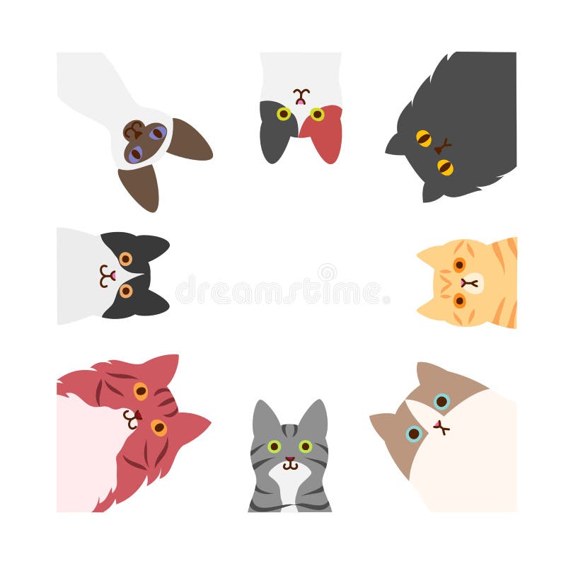Cats square frame stock vector. Illustration of elements - 77697071