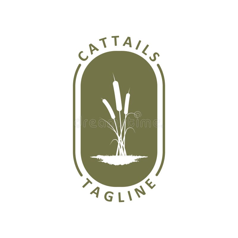 Cattail Grass Logo Vector Illustration Design Stock Vector ...