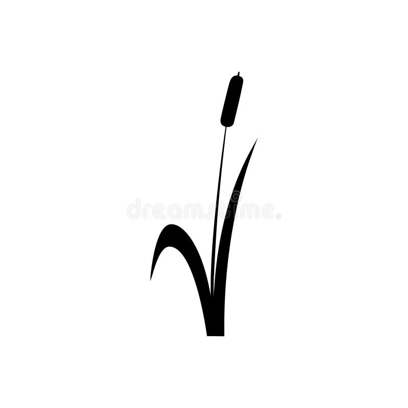 Cattail Icon Vector. Reeds Illustration Sign. Swamp Symbol. Grass Logo ... Cattail Icon Vector. Reeds Illustration Sign. Swamp Symbol. Grass Logo ...