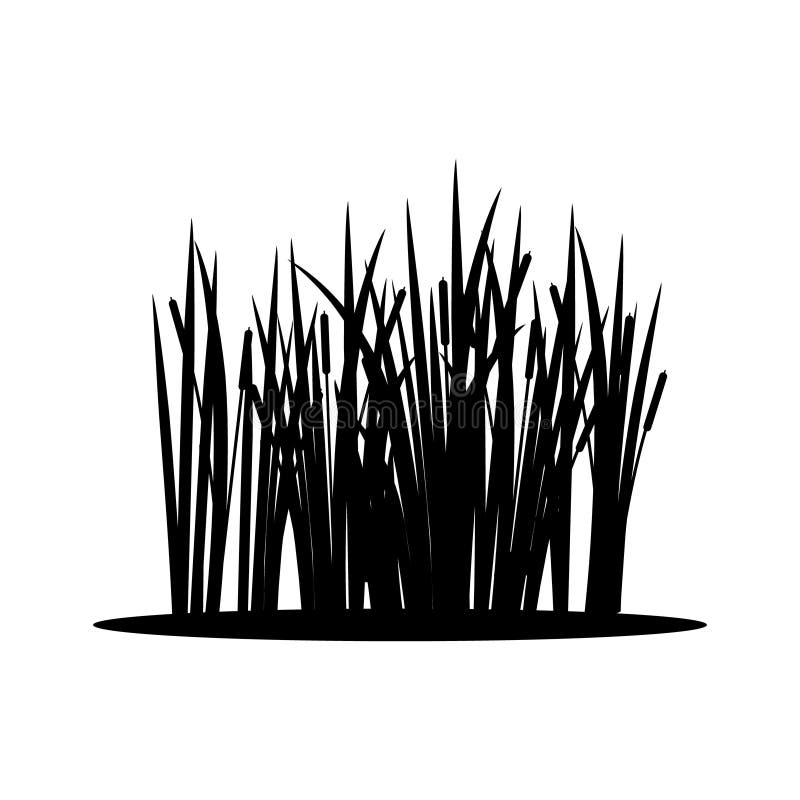 Cattail Icon Vector. Reeds Illustration Sign. Swamp Symbol. Grass Logo ... Cattail Icon Vector. Reeds Illustration Sign. Swamp Symbol. Grass Logo ...