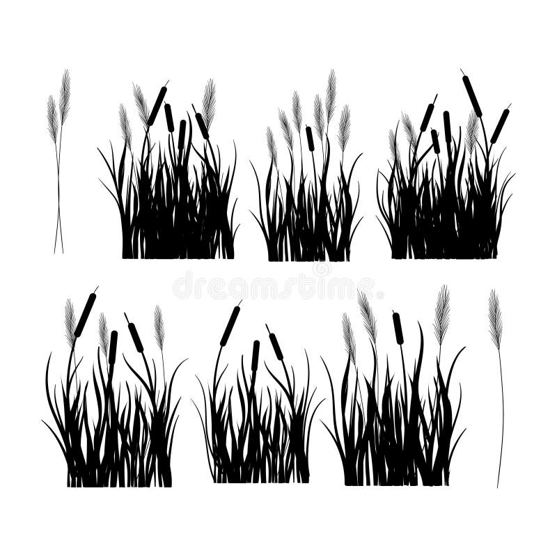 Silhouette Cattail Stock Illustrations – 645 Silhouette Cattail Stock ...