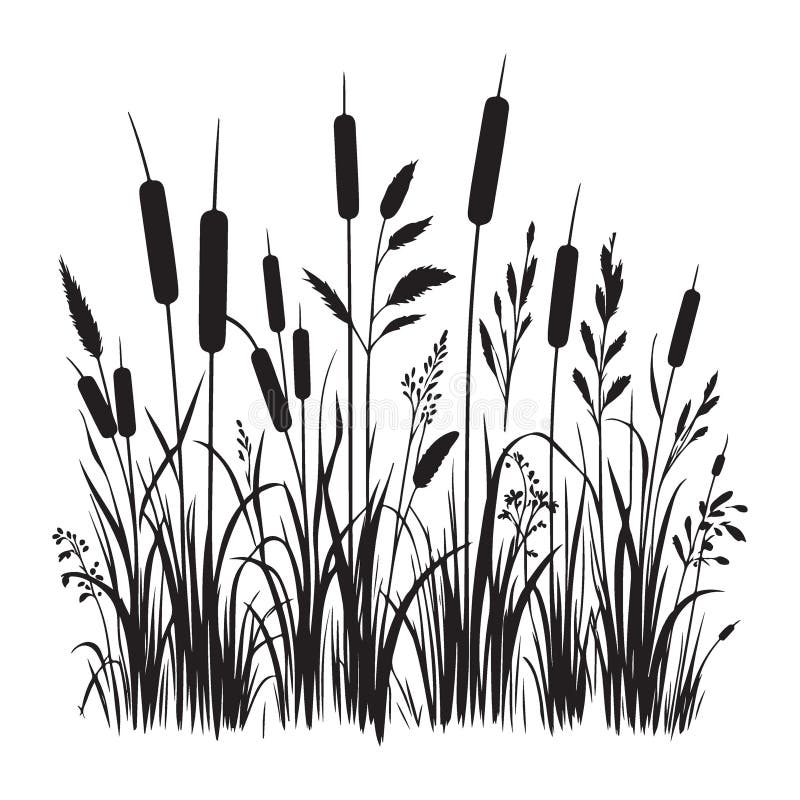 Cattails and Grasses Silhouette Vector a Serene Waterside Illustration ...