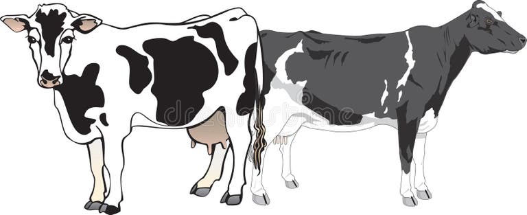 Cattle Manure Stock Illustrations – 174 Cattle Manure Stock ...