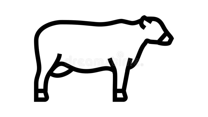 Cattle Beef Line Icon Animation Stock Video Video Of Grill Chuck 262801943
