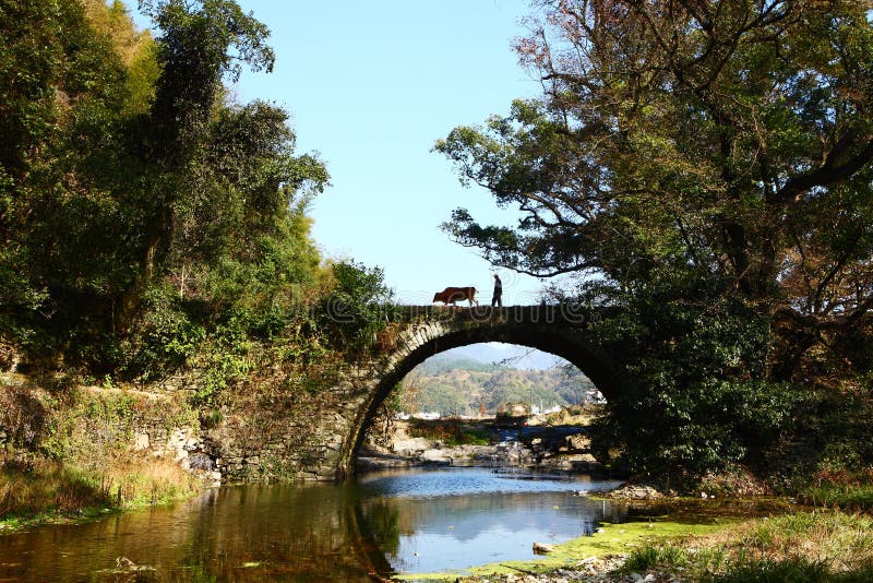 Cattle Bridge Over a Small River Stock Image - Image of farmland, grass ...