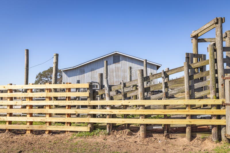 Cattle Chute on a Texas Ranch Stock Image - Image of states, skies ...