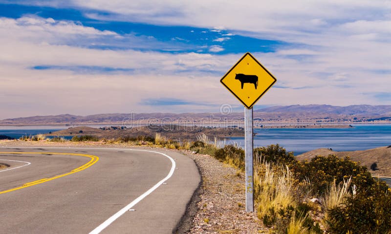 Cattle Crossing - Road Sign Stock Photo - Image of outdoors, roadsign ...
