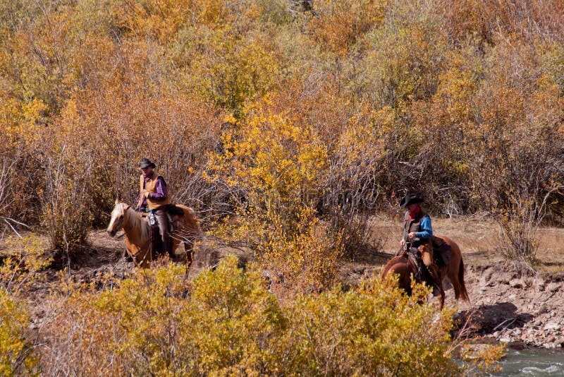 324 Western Cattle Drive Photos - Free & Royalty-Free Stock Photos from ...