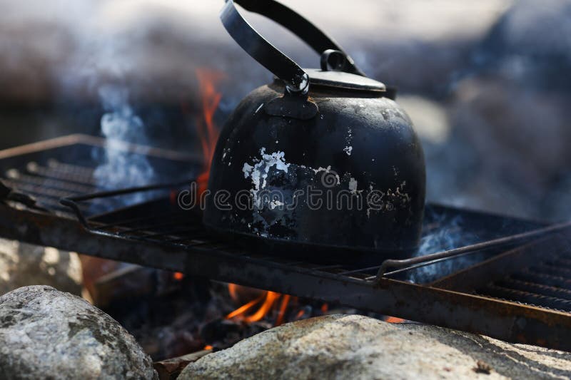Cattle on a fire stock photo. Image of iron, beverage - 372216378