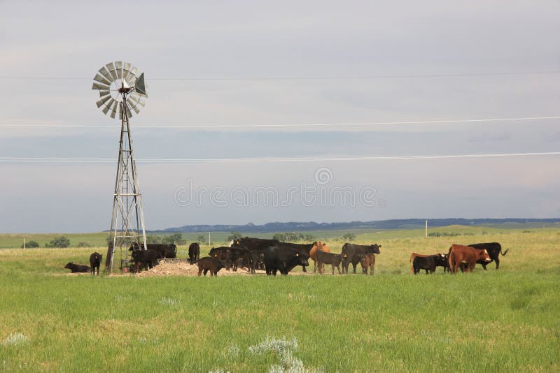 Windmill On Cattle Ranch In Lusk Wyoming USA Stock Photo - Image of ...