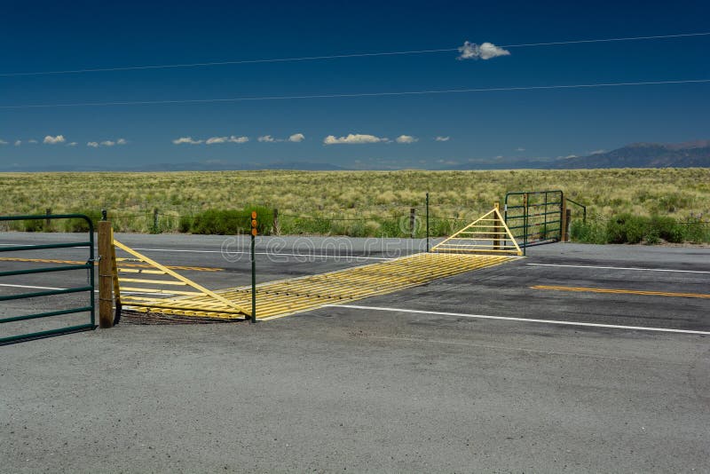 Cattle Grate Grid on a Road on a Sunny Day Stock Photo - Image of sunny ...