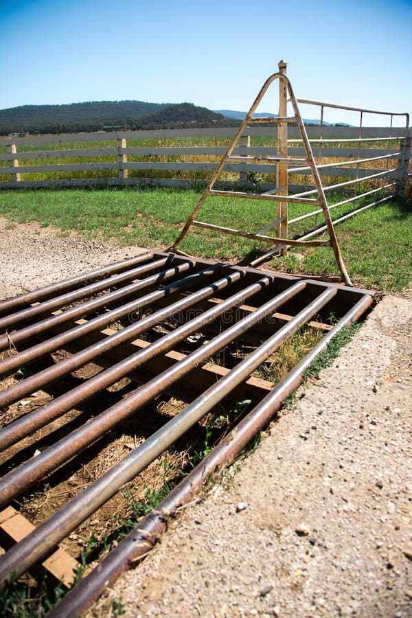 Cattle Grid stock image. Image of cattle, farming, fence - 83467837