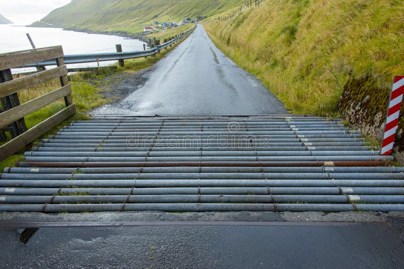 Cattle Grid stock photo. Image of horizontal, guard - 382222238