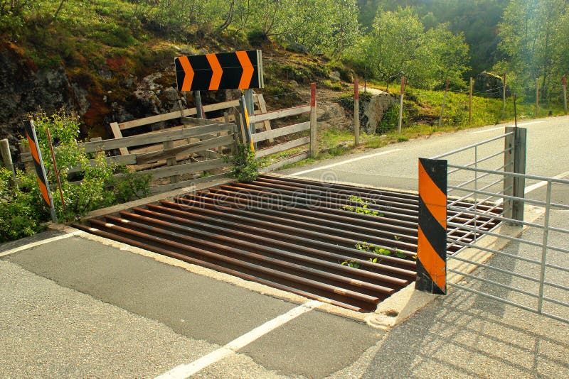 Cattle Grid on a Road, Southern Norway Stock Photo - Image of road ...