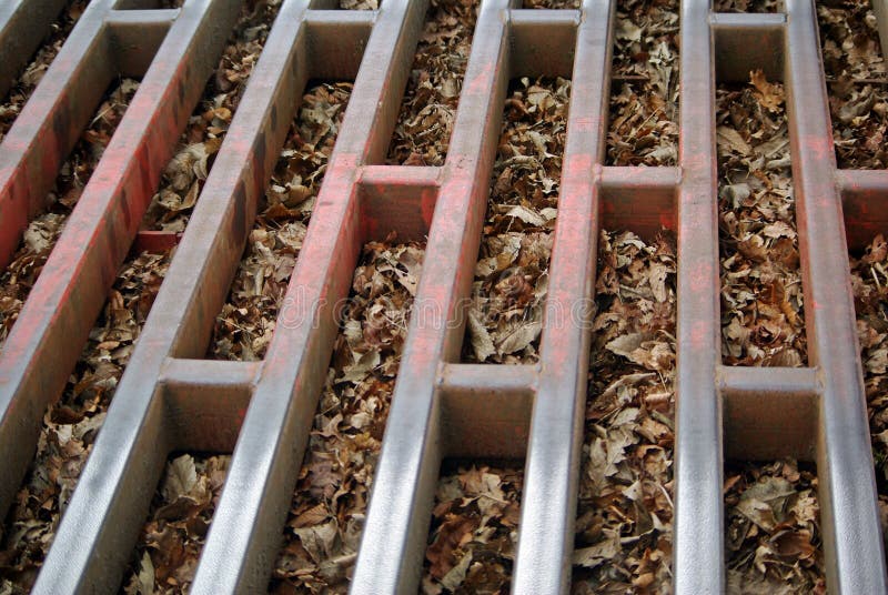 Cattle grid stock photo. Image of deer, barrier, rural - 53991208