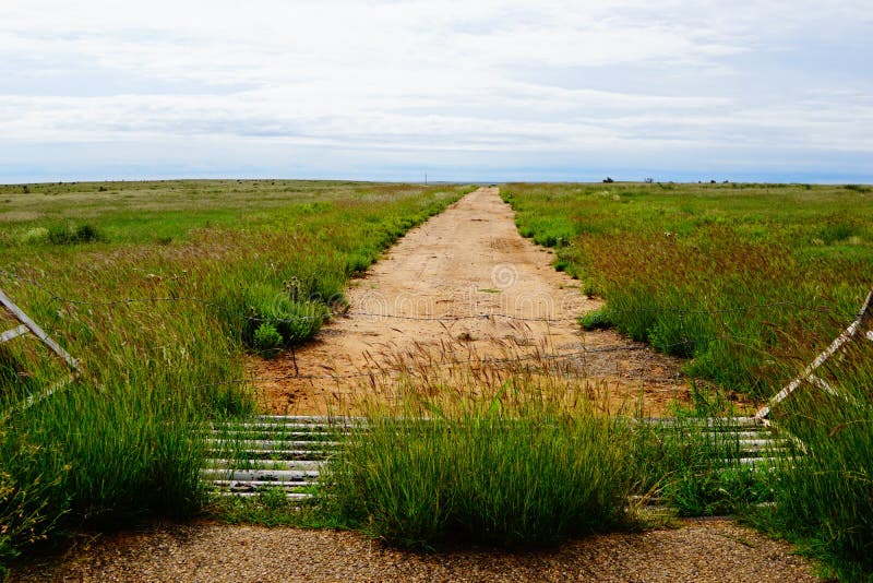 A Cattle Guard Replaces a Gate for Cattle Stock Photo - Image of ...