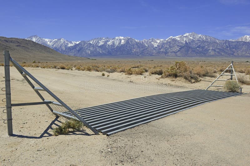 A Cattle Guard Replaces a Gate for Cattle Stock Photo - Image of ...