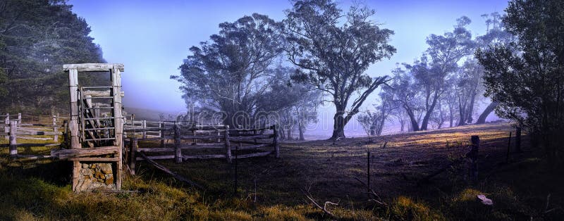 Cattle Loading Pen In Bowral Stock Photo - Image of wales, foggy: 224879536