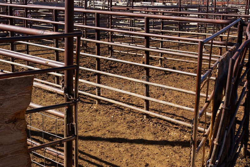 Cattle Pen stock image. Image of corral, beef, fence, gate - 4693989