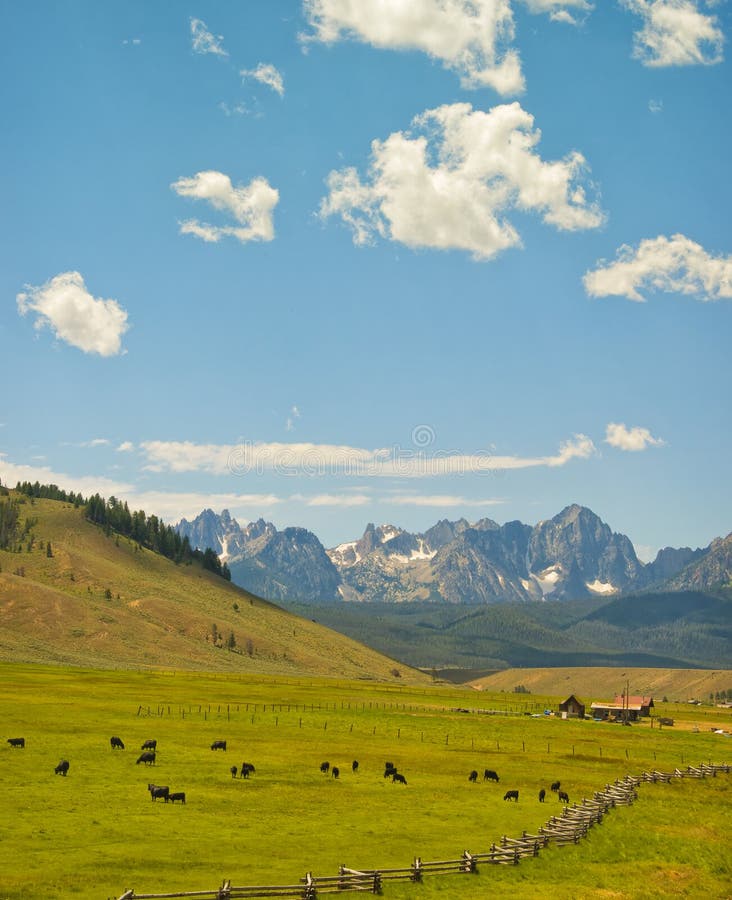 Cattle Ranch And Mountains, Idaho Stock Image - Image of mountain ...