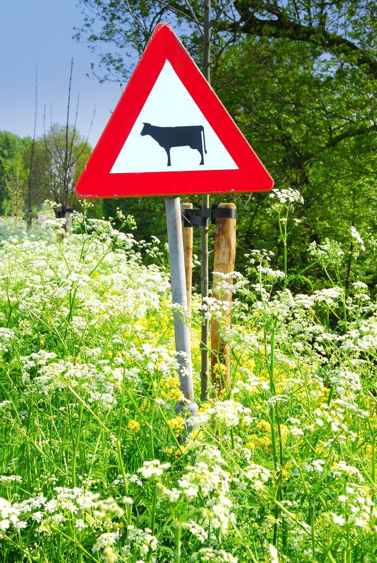 272 Cattle Crossing Sign Stock Photos - Free & Royalty-Free Stock ...