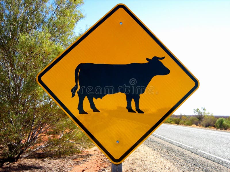 Cattle Sign on roadway stock image. Image of environment - 9754689