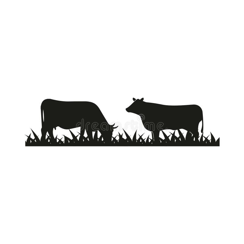 Cattle Silhouette