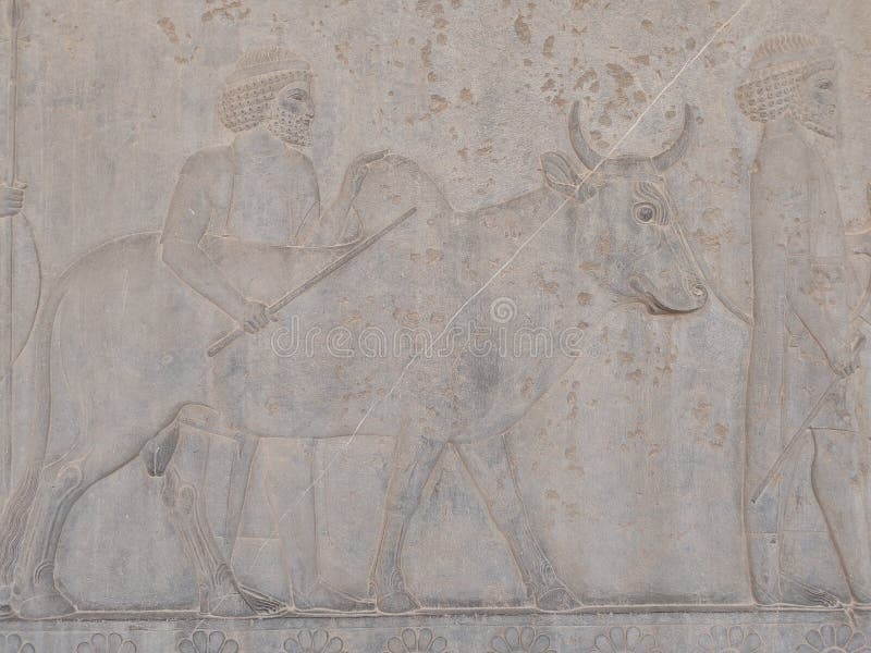 Cattle Statue on the Walls of Persepolis Stock Photo - Image of pattern ...