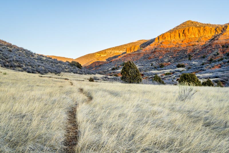 Cattle Trail at Red Mountain Open Space Stock Image - Image of collins ...