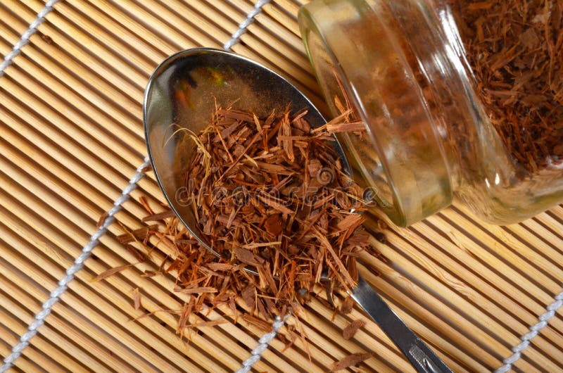 Catuaba bark herbal tea stock photo. Image of healthcare - 202470234
