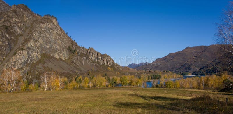 Catun stock image. Image of plant, majestic, national - 11551567