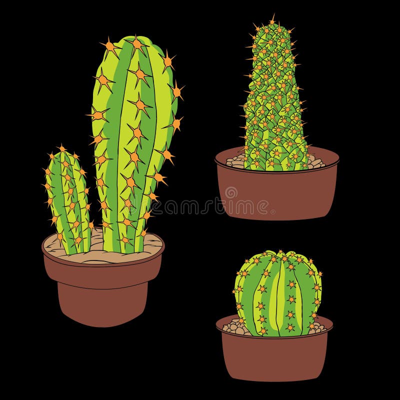 Catus Stock Illustrations – 609 Catus Stock Illustrations, Vectors ...