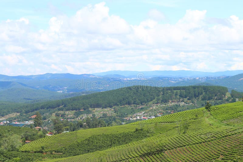 Cau Dat, vietnam stock image. Image of caudat, vietnamese - 155455233