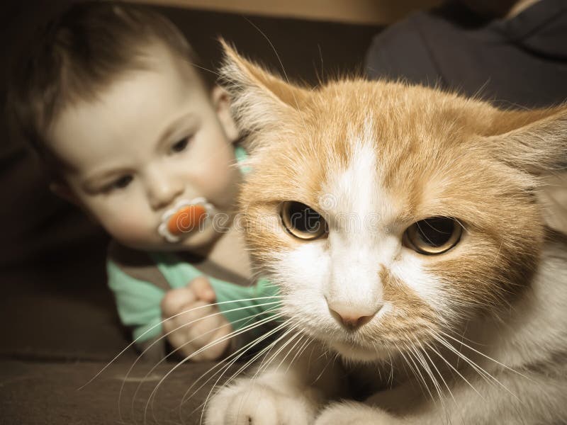 Caucasian Baby Playing with Cat Stock Photo - Image of happy, portrait ...