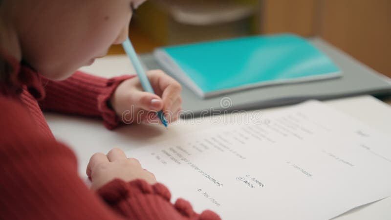 Caucasian Clever Smart Little Girl Doing Language Test Choose Right ...