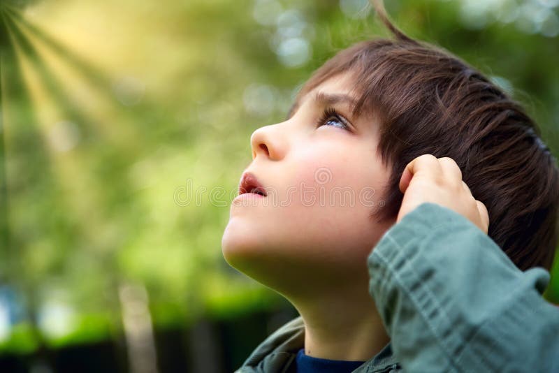 Caucasian Little Boy Looking Up at the Sky in the Forest Stock Image ...