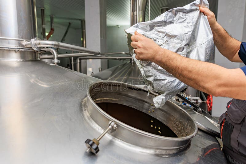 Caucasian Male Brewing Process Adding Ingredients To Fermentation Tank ...