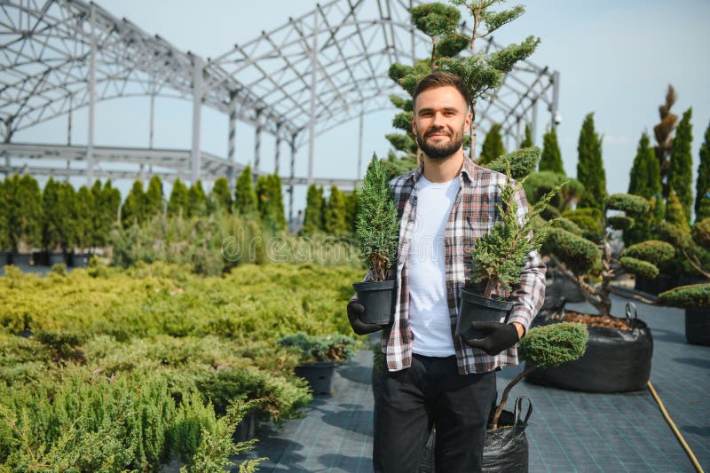 Caucasian Man Choosing Sprouts in Garden Center Stock Photo - Image of ...