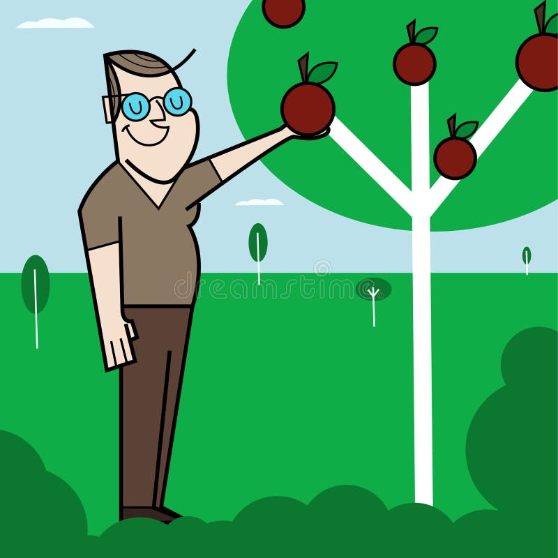 Caucasian Man Collects Apples from Apple Tree, Vector Illustration ...