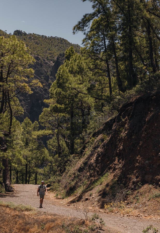 Caucasian Man Walking through Road in the Middle of the Nature Stock ...