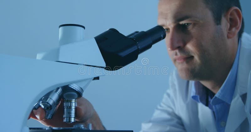 Caucasian Scientist Examines Samples Under a Microscope in a Lab Stock ...