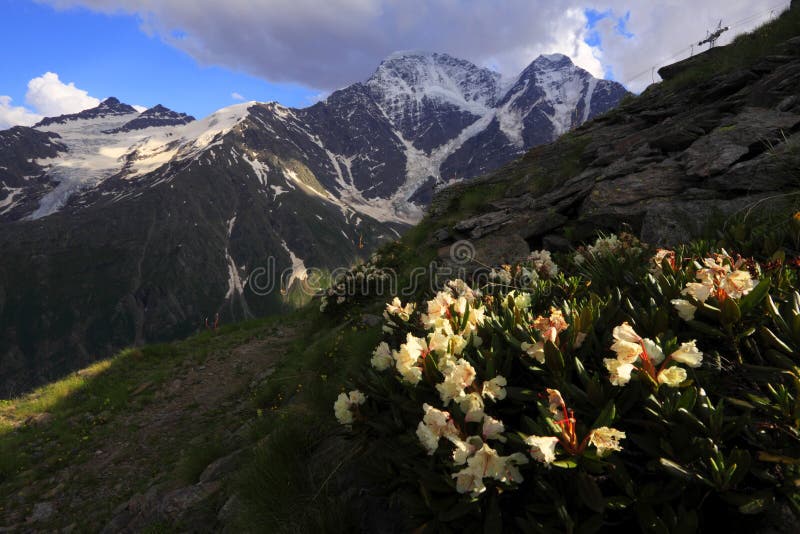 Caucasus Landscape stock image. Image of sunny, caucasus - 10990325