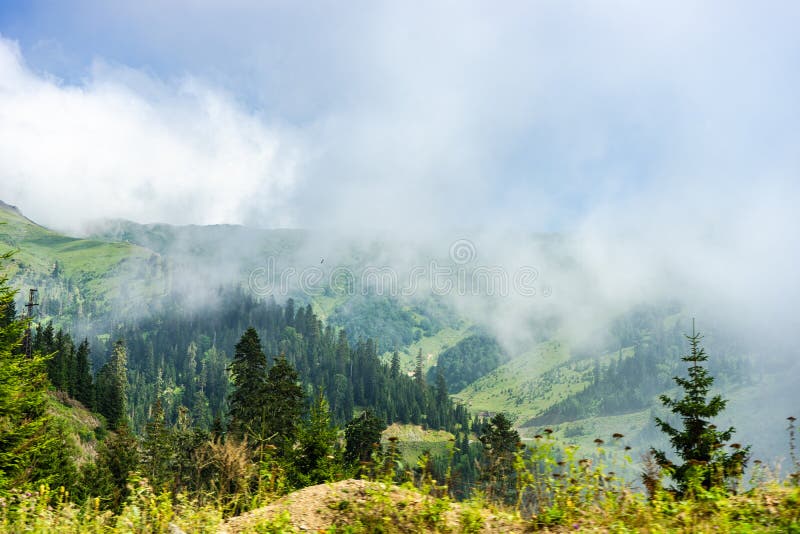 Caucasus Mountain in Georgian Region Guria Stock Photo - Image of road ... Caucasus Mountain in Georgian Region Guria Stock Photo - Image of road ...