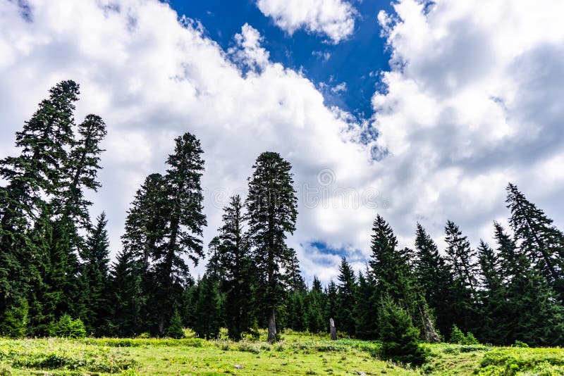 Caucasus Mountain in Guria Region of Georgia Stock Photo - Image of ... Caucasus Mountain in Guria Region of Georgia Stock Photo - Image of ...
