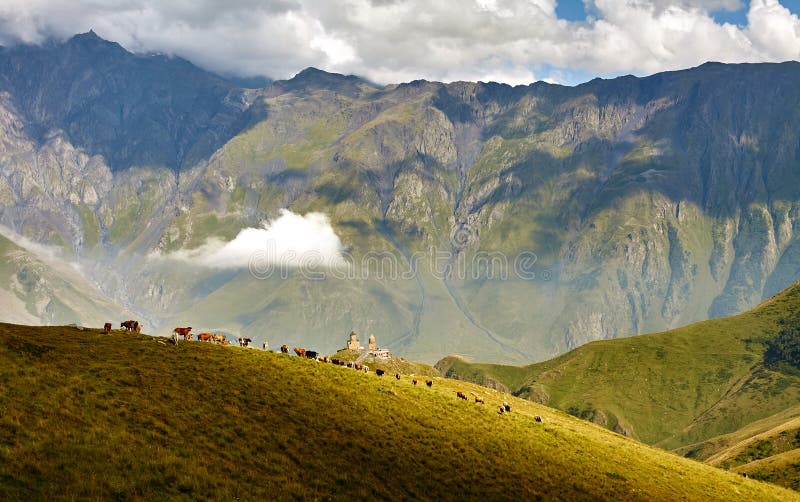 Caucasus Mountains, Georgia Stock Image - Image of meadow, flowers ...