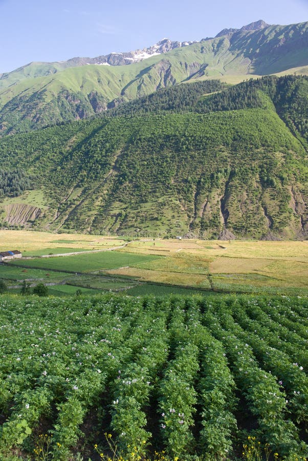 Caucasus Mountains Landscape Stock Photo - Image of history, beautiful ...