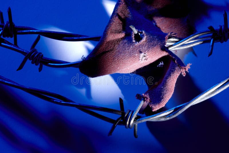 Caught on Barbed Wire at Night Stock Image - Image of security, symbol ...