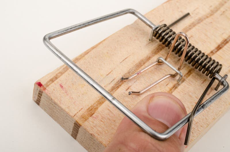 Caught stock photo. Image of mouse, accident, domestic - 93452260