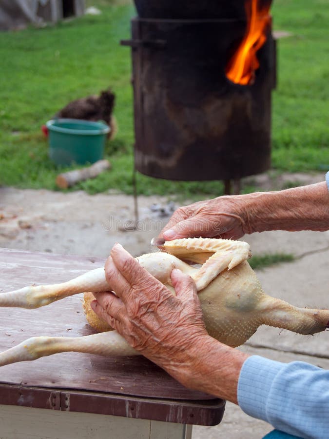 Cauldron boiling water. stock image. Image of butchered - 77573151