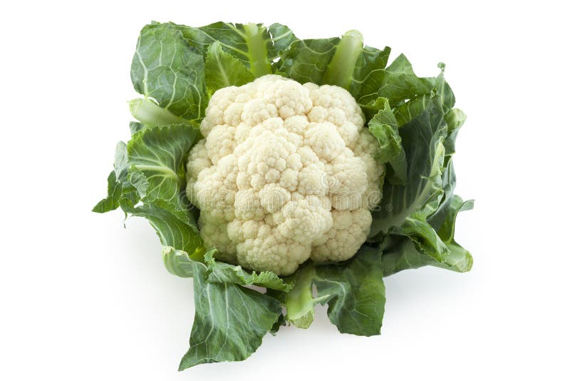 Cauliflower stock photo. Image of supper, leaf, farm, home - 14656